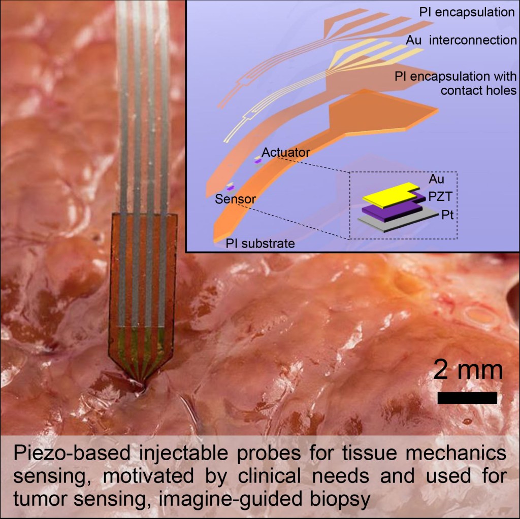 Xinge Yu Research Group – Lab of Soft Bio-Electronics
